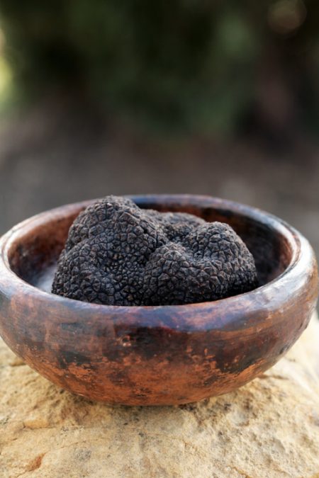 Vous venez d'acheter une truffe - Truffe Noire de Haute-Provence